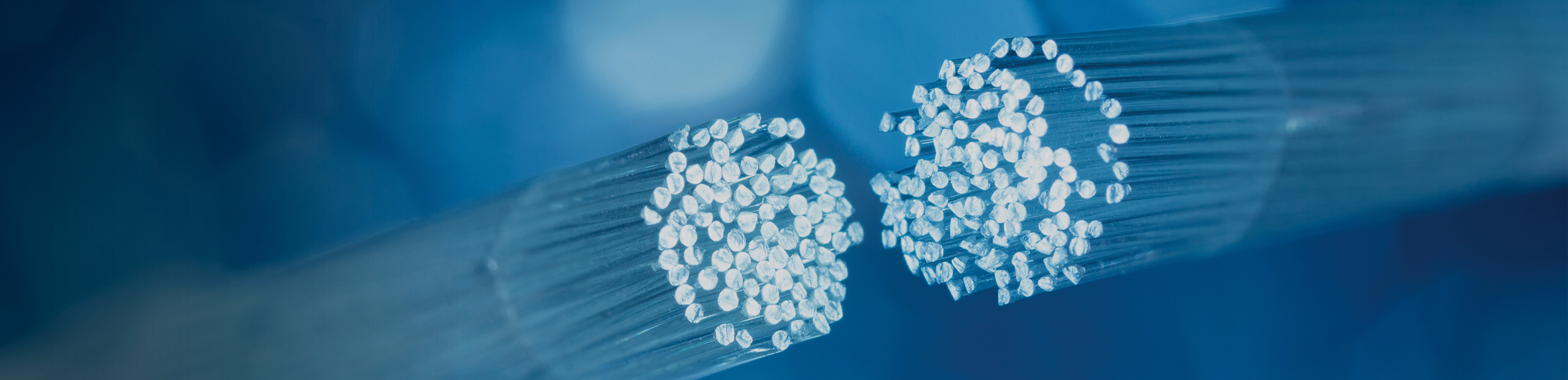 Homepage - The Exchange | Golden West Telecommunications